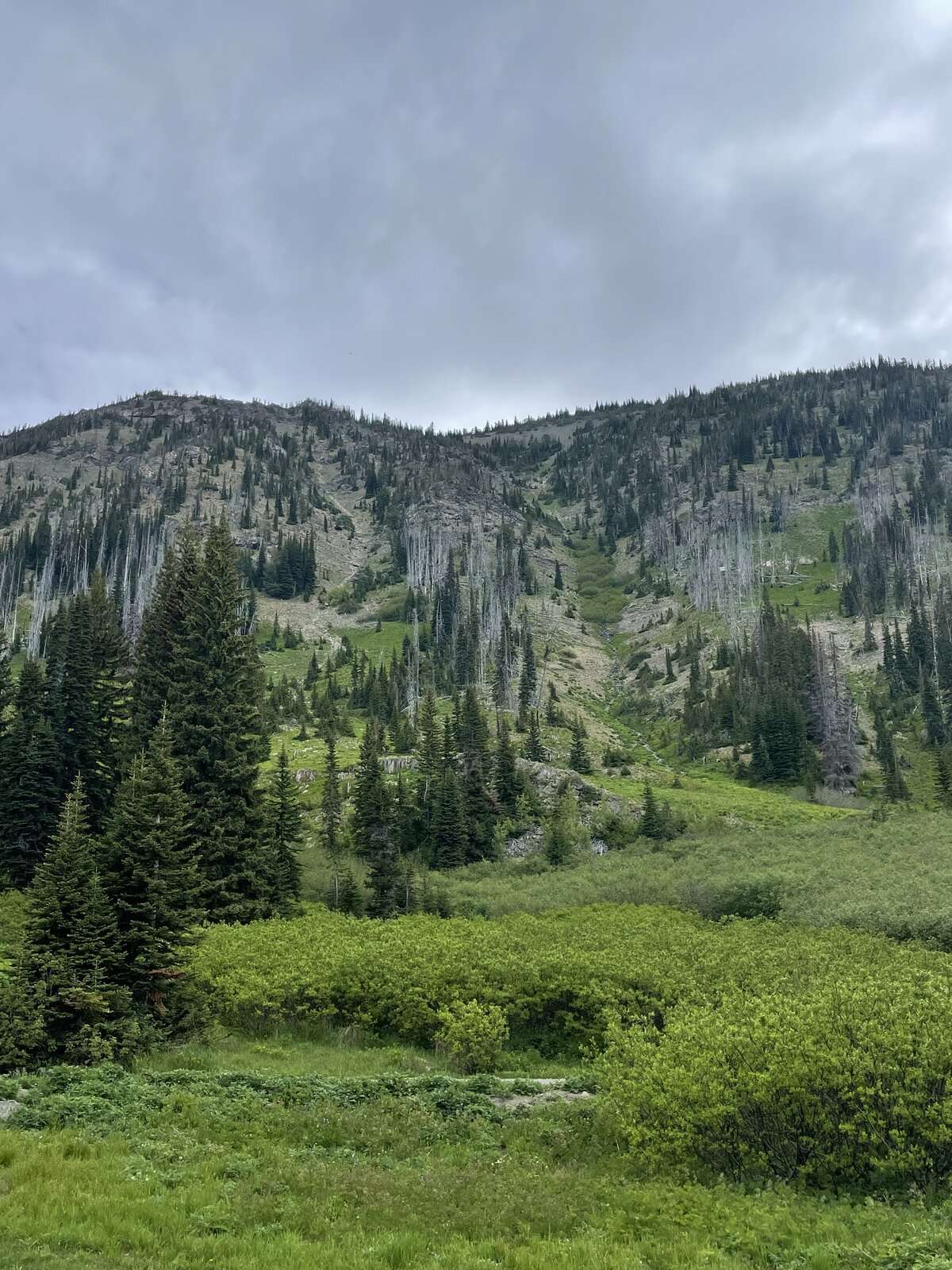 North Cascades | Survival Monkey Forums